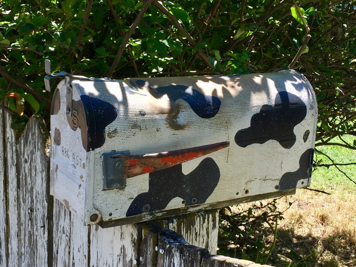 Creative Mailboxes of Ashland Photo Essay: Part 1 - Walk Ashland