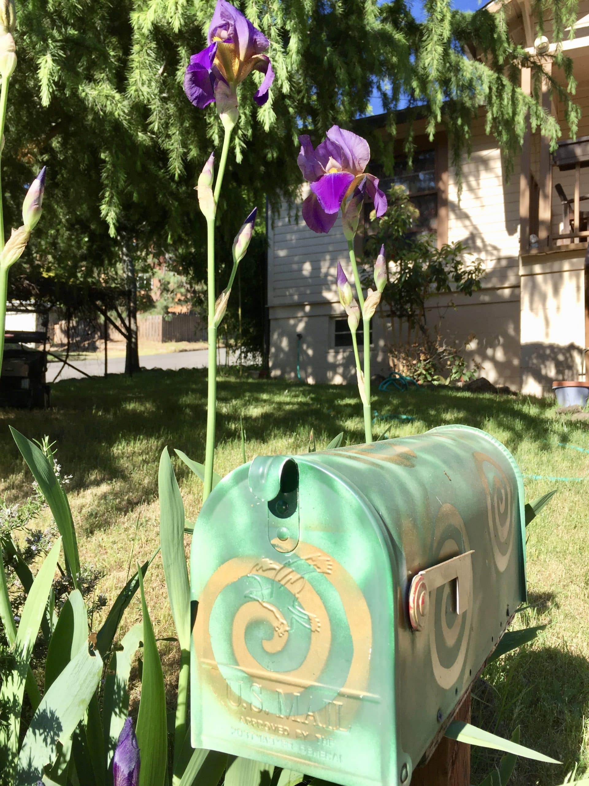 Creative Mailboxes of Ashland Photo Essay: Part 1 - Walk Ashland