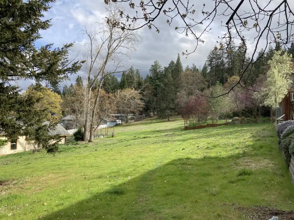 Ashland Street (part 1) – from west end to SOU library - Walk Ashland