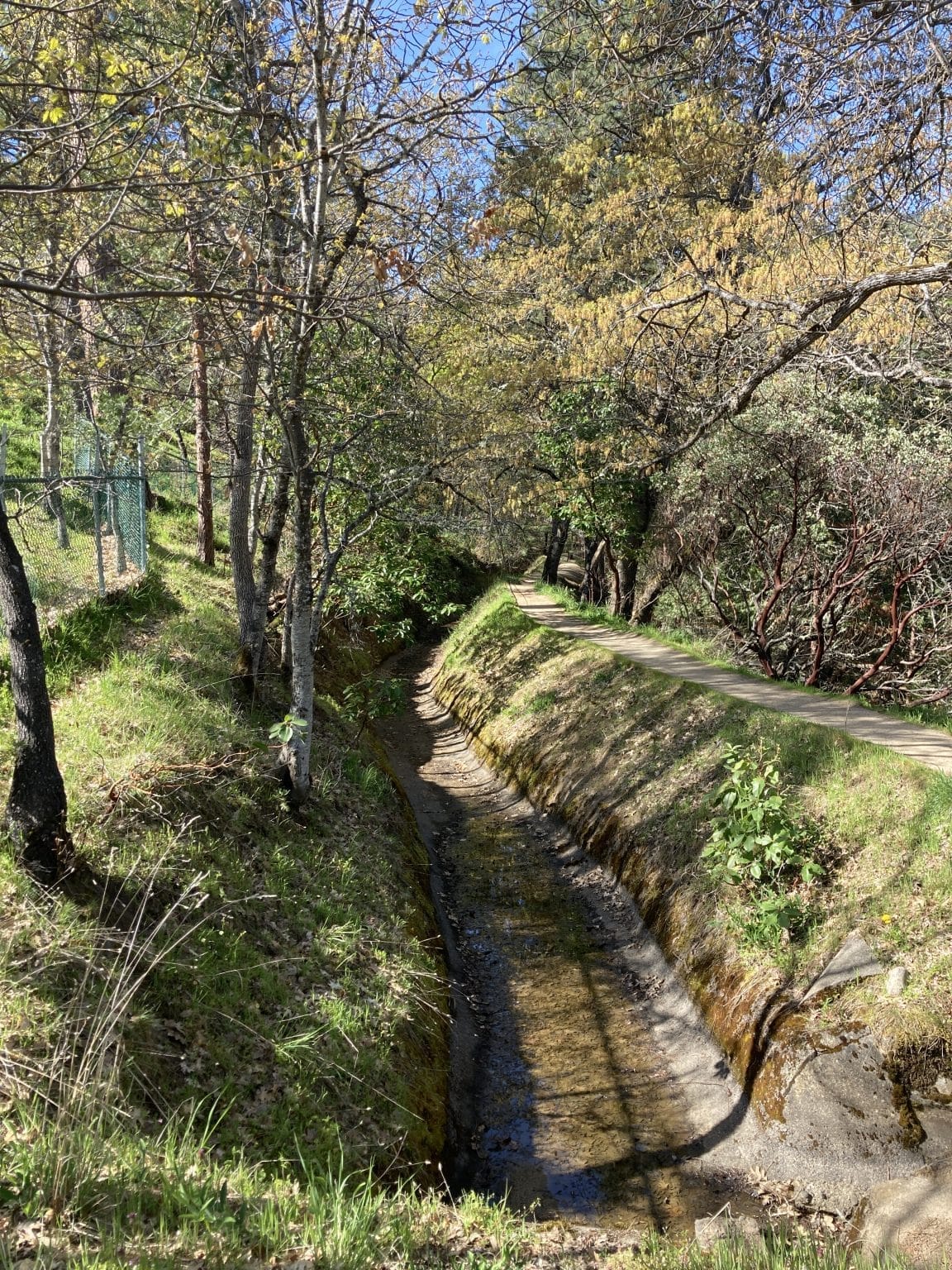 Ashland Street (part 1) – from west end to SOU library - Walk Ashland