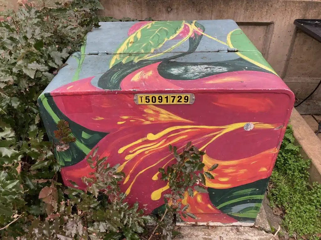 Painted Utility Boxes: Yelena Joy's four boxes - Walk Ashland