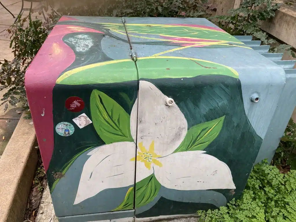 Painted Utility Boxes: Yelena Joy's four boxes - Walk Ashland