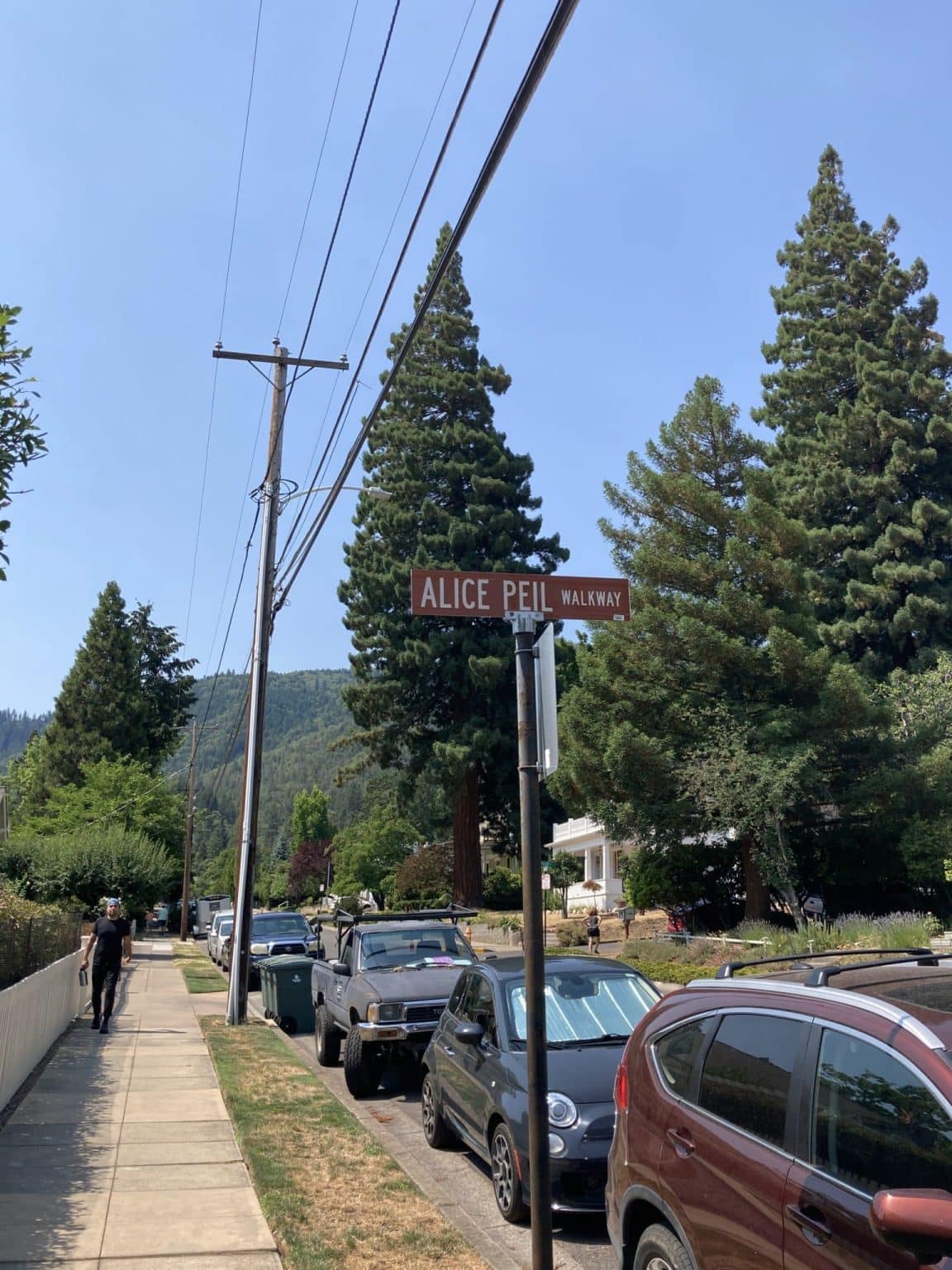 The Alice Peil Walkway: a not-so-secret shortcut (with new stairs ...